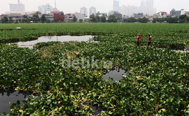 JAKARTA | City Masterplan | Urban Design Guide Line | RTRW | Page 80 ...